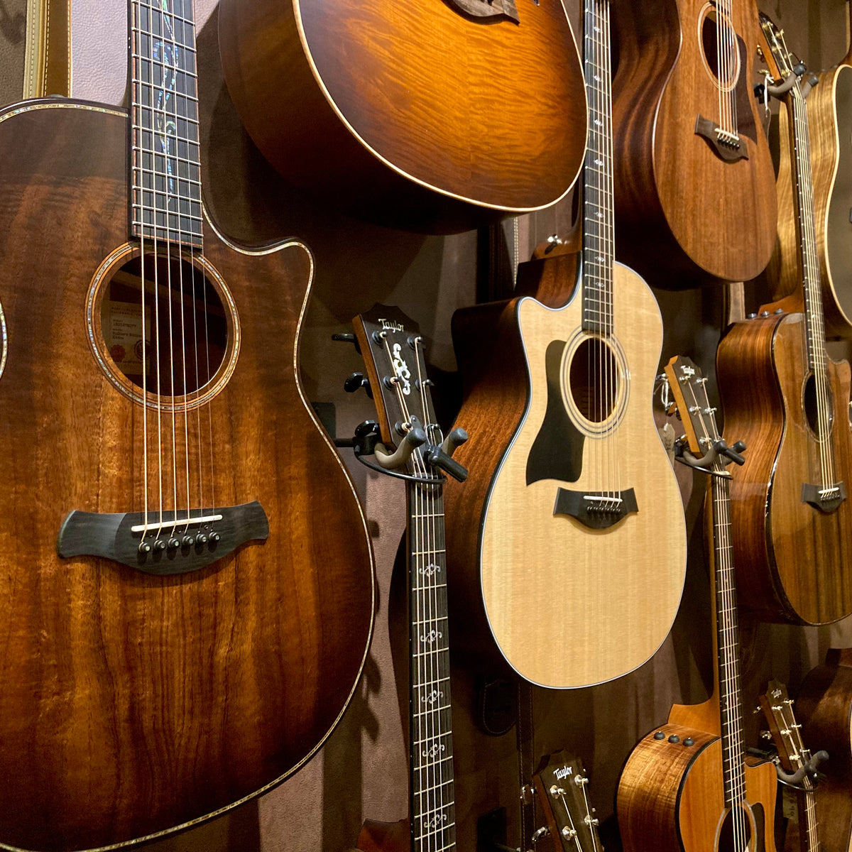 24 Months Interest Free Finance on Taylor Guitars! – Rose-Morris