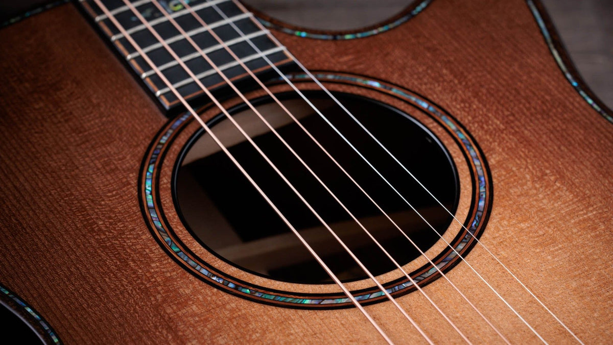 Taylor Guitars – Rose-Morris