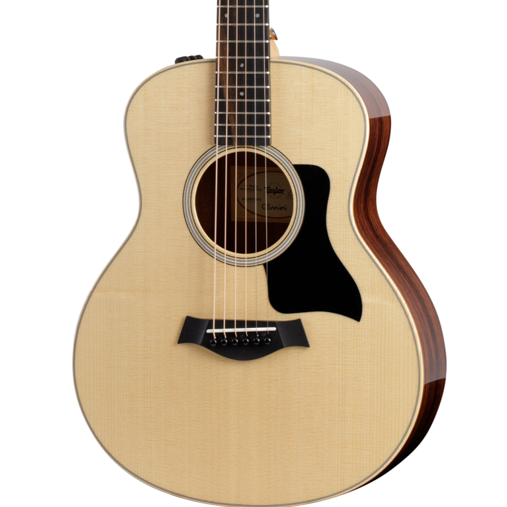 Taylor GS Mini-e Rosewood Plus – Rose-Morris